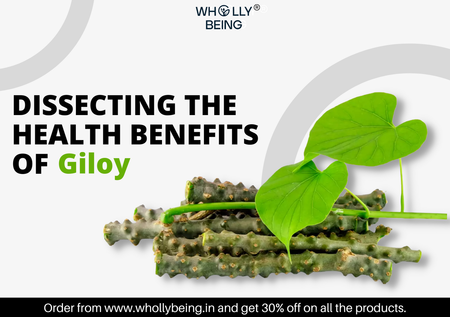 Dissecting the Health Benefits of Giloy – Wholly Being
